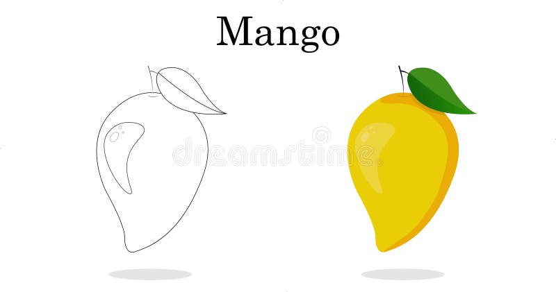 Mango Line Art Color less Fruit for Preschool Children S Vector ...