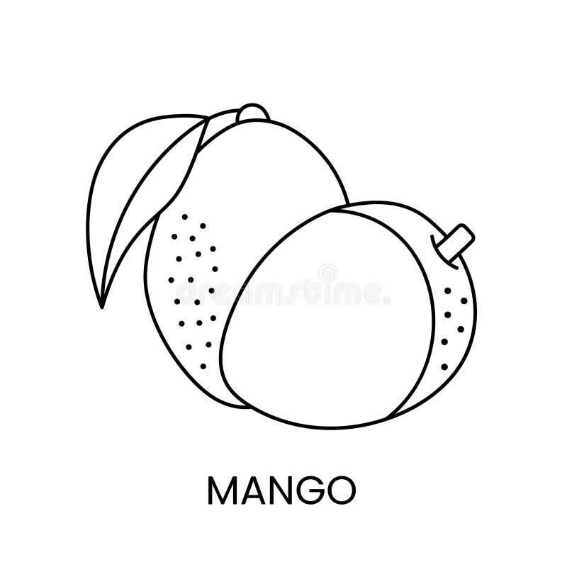 Mango Line Icon in Vector, Fruit Illustration Stock Vector ...