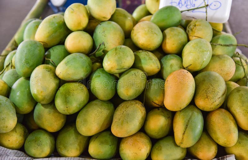 Mango Local market stock image. Image of market, juicy - 118491049