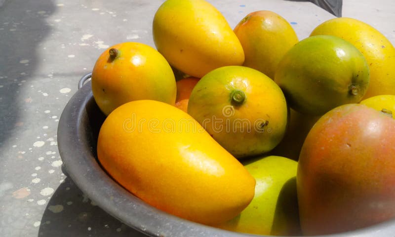 Mango stock image. Image of fruits, yellow, sunlight - 100344233