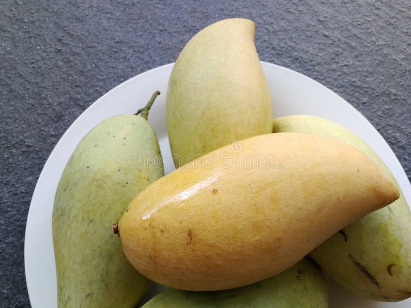Mango stock photo. Image of mangoyello, yello, mango - 146894894