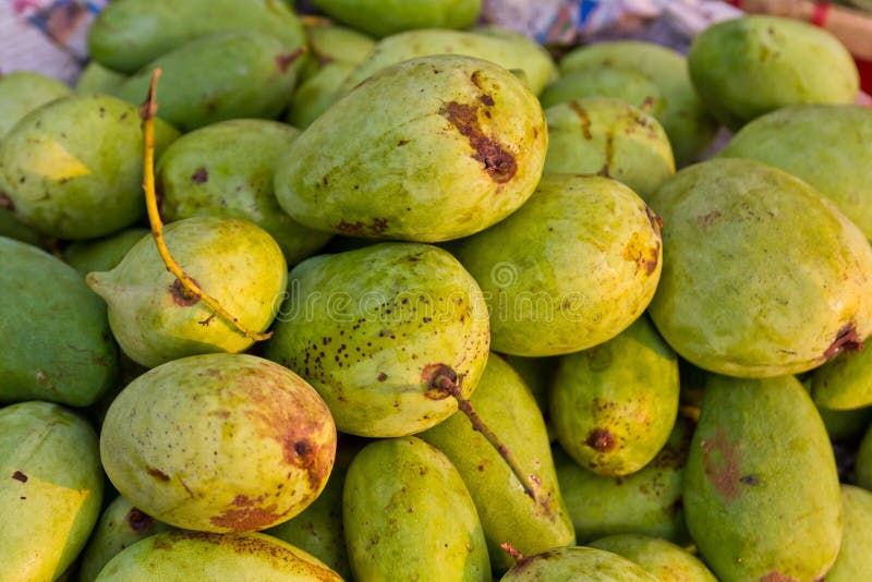 Mango stock image. Image of natural, dieting, life, dessert - 30699885