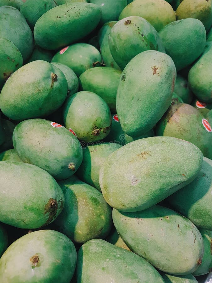 Mango in market stock photo. Image of healthy, manggo - 222726528