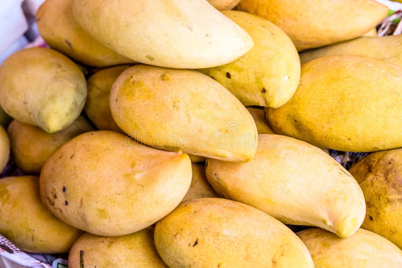 Mango at the Market for Sell Stock Image - Image of mango, diet: 76198123