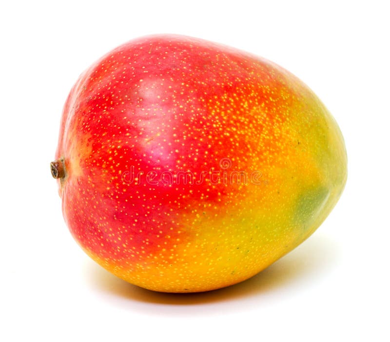 Mango maturo immagine stock. Immagine di sano, pianta - 31127841