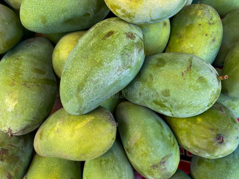 Mango or Mempelam is the Name of a Type of Fruit, As is the Name of the ...