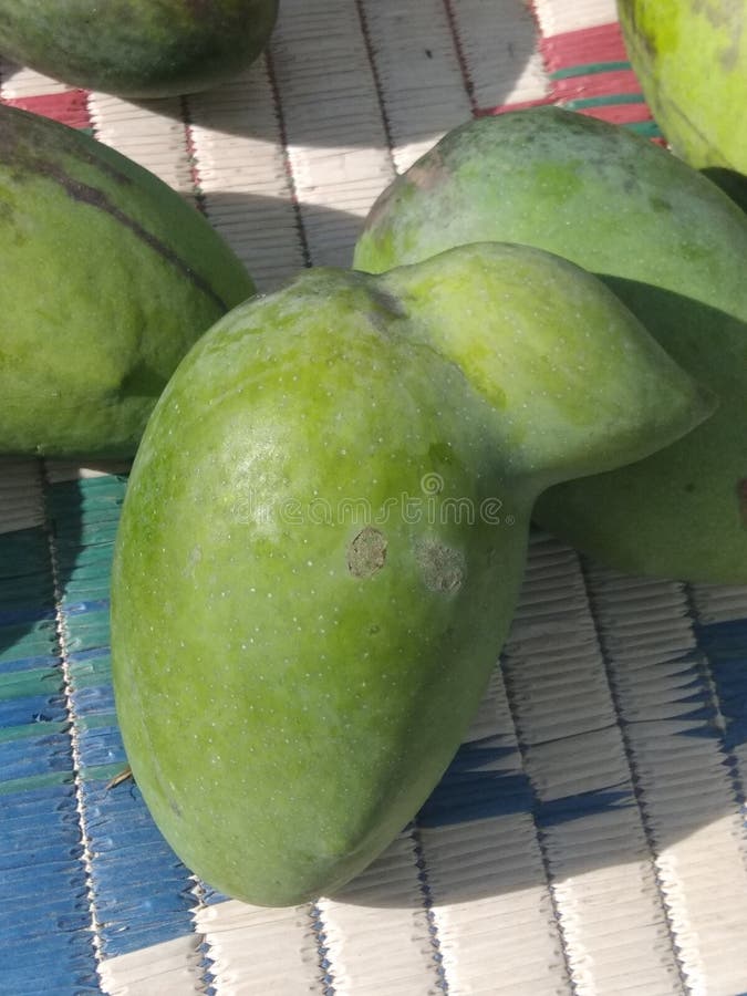 Mango Ni Stock Photos - Free & Royalty-Free Stock Photos from Dreamstime