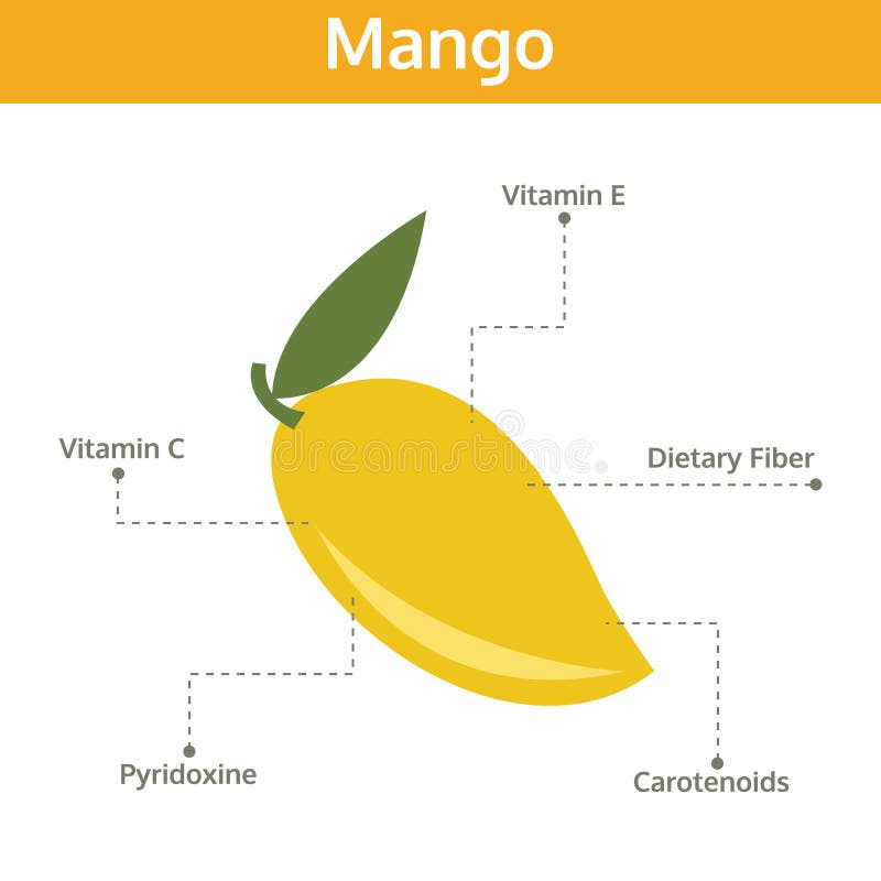 Mango Nutrient of Facts and Health Benefits, Info Graphic Fruit Stock ...