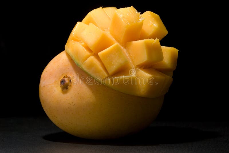 Mango stock afbeelding. Image of milieu, familie, aanwinst - 9742865