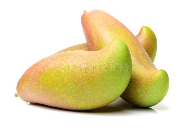 Mango are One of the Most Popular Fruit Stock Photo - Image of popular ...