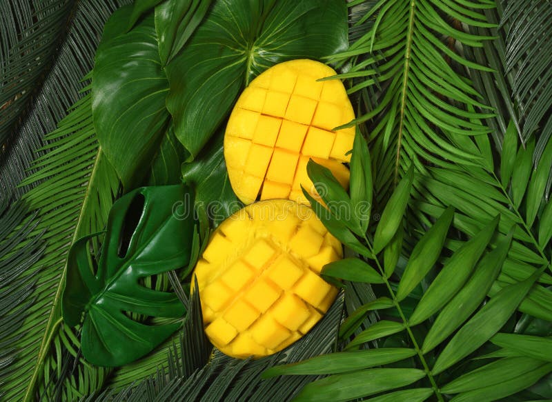 Mango with palm leaves stock photo. Image of arrangement - 222905582