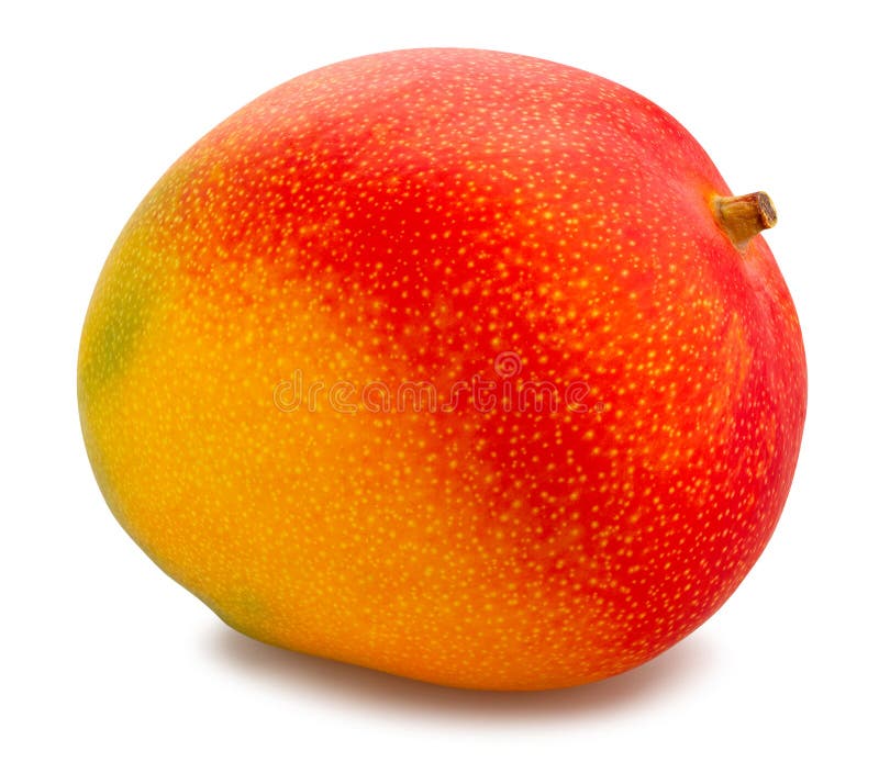Mango stock image. Image of side, nutrient, cutout, mangoes - 135188935