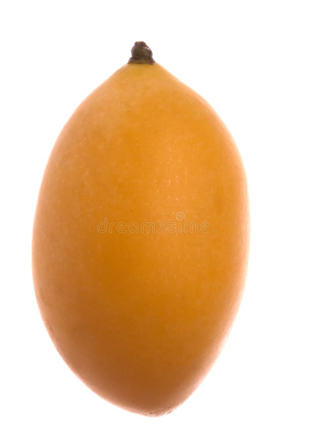 Mango Plum Isolated stock image. Image of food, macro - 8928827