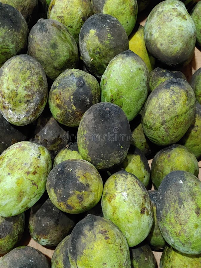 1,137 Portrait Mango Background Stock Photos - Free & Royalty-Free ...