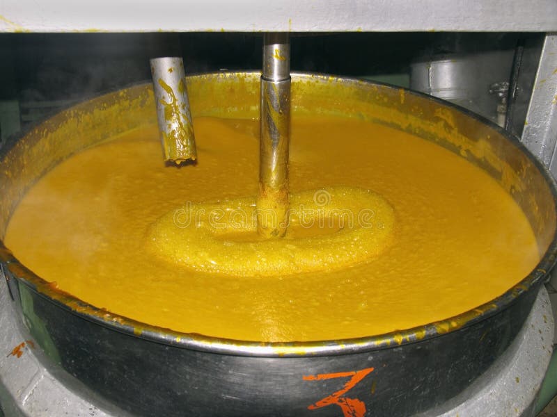 Mango-processing factory stock photo. Image of fruit - 38382402