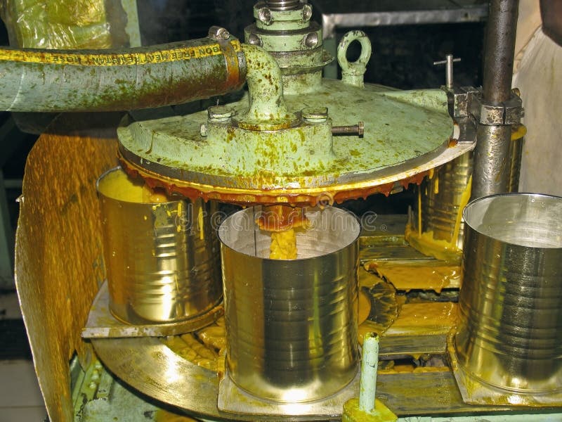 Mango-processing factory stock photo. Image of arrange - 38382480