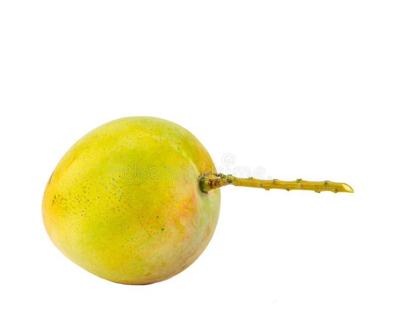 R2e2 Species Stock Photos - Free & Royalty-Free Stock Photos from ...