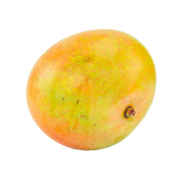 R2e2 Species Stock Photos - Free & Royalty-Free Stock Photos from ...