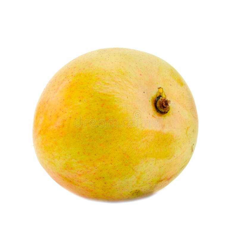 R2e2 Species Stock Photos - Free & Royalty-Free Stock Photos from ...