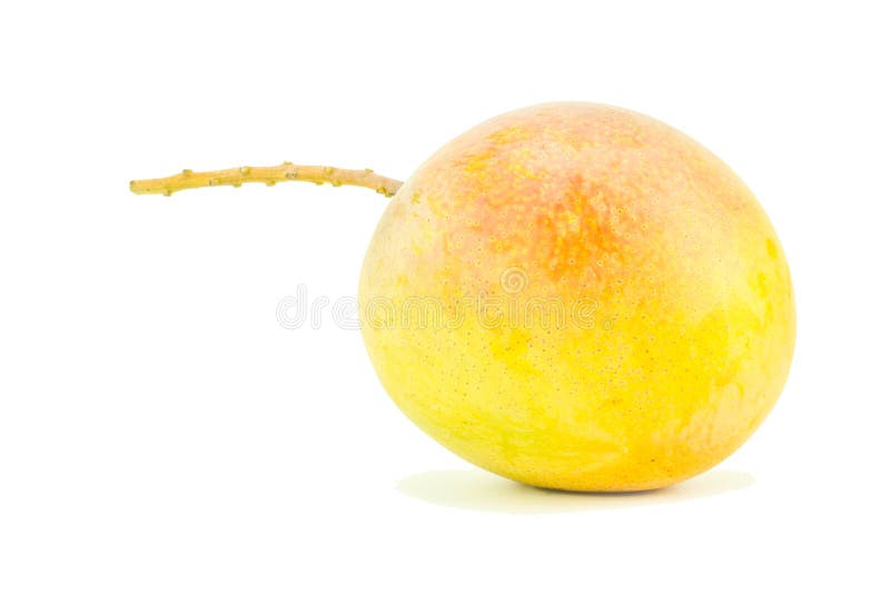 Mango R2e2 stock image. Image of agriculture, green - 249143427