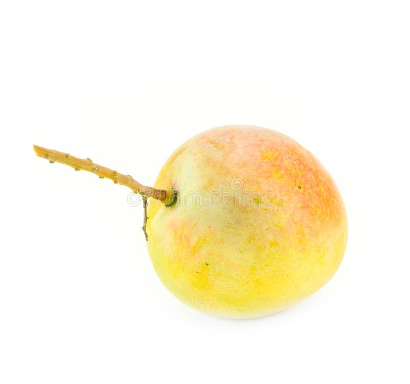 Mango R2e2 stock image. Image of agriculture, green - 249143427
