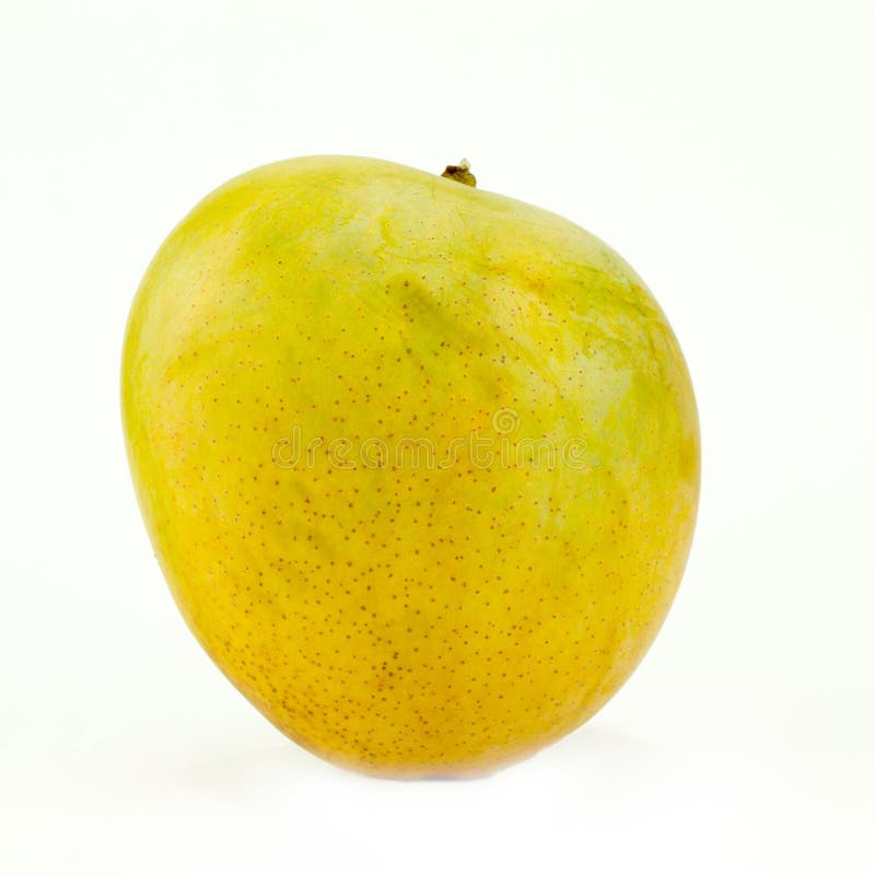 Mango R2e2 stock image. Image of agriculture, green - 249143427