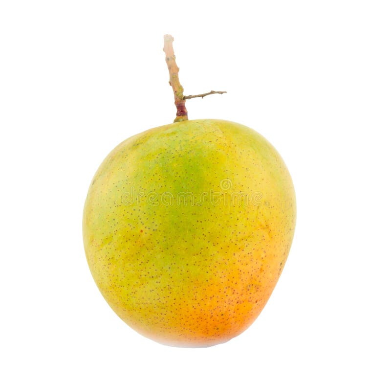 R2e2 Species Stock Photos - Free & Royalty-Free Stock Photos from ...