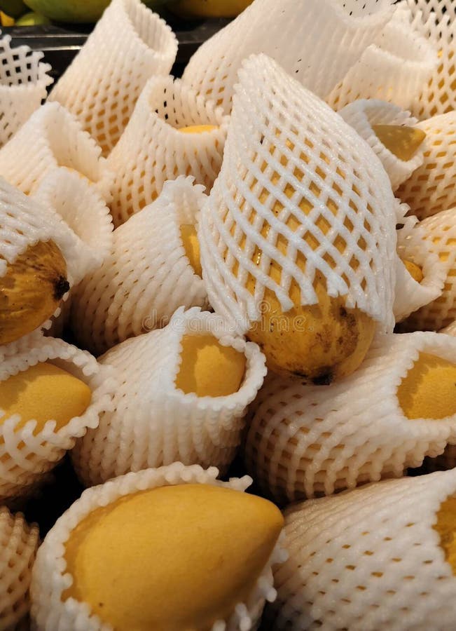 Mango, Raw Mango, Green Mango Stock Image - Image of green, meal: 384863893