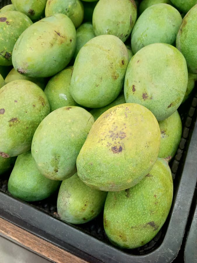 Mango Ready To Be Sold in the Market Stock Photo - Image of dessert ...