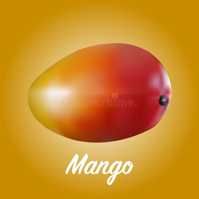 Mango realista fresco ilustración del vector. Ilustración de comer ...