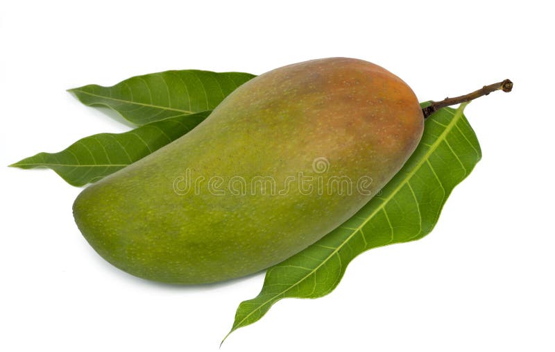 Mango Red Ivory Isolated on White Background Stock Photo - Image of ...