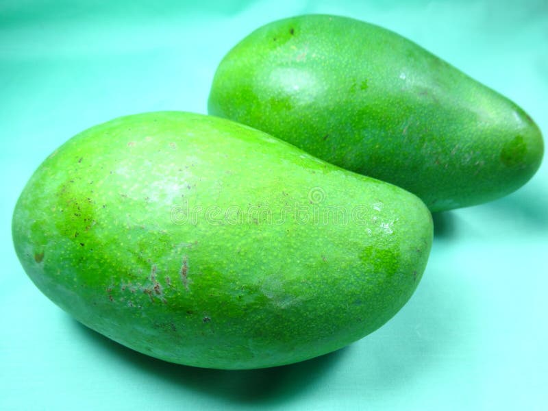 Mango stock image. Image of ripe, mangifera, side, mango - 52003629
