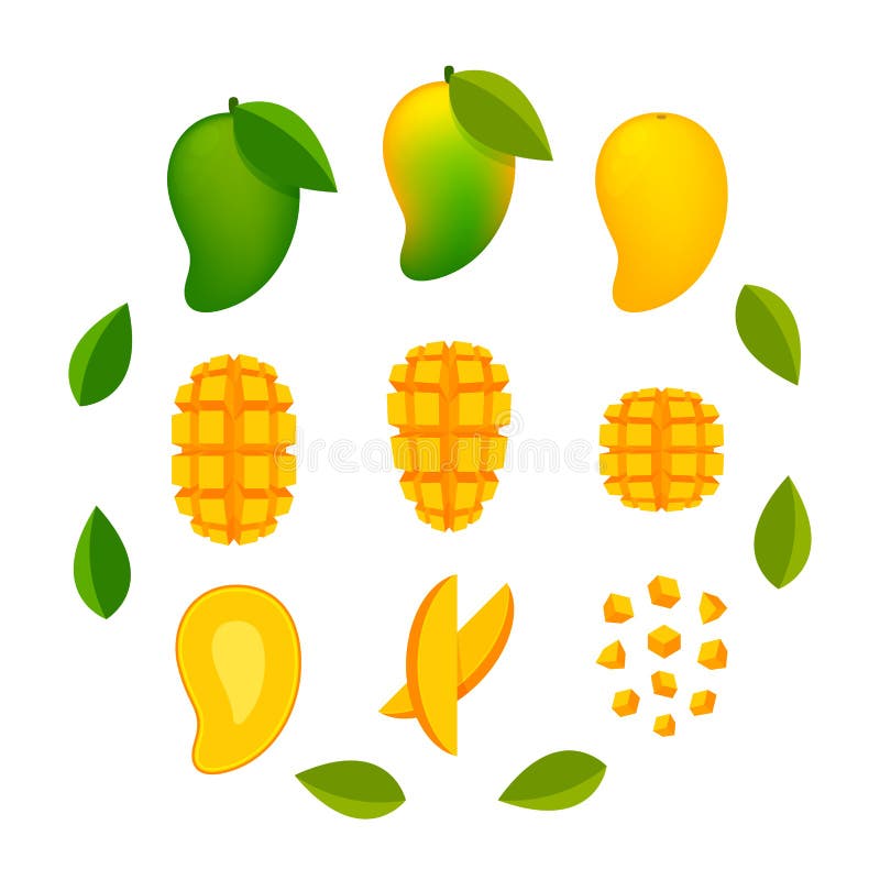 Mango Ripe Fruit Simple Isolated on White Background, Yellow Mango ...