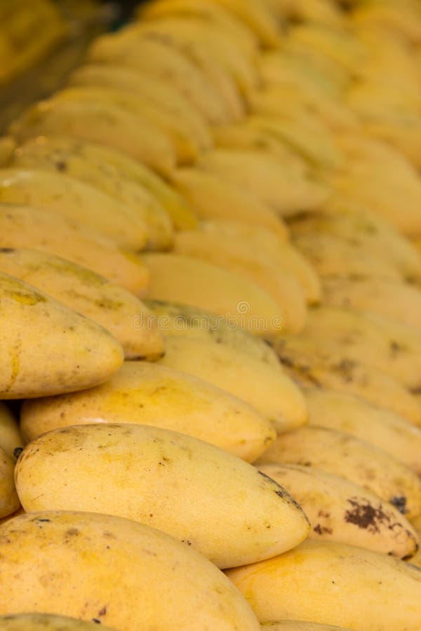 Mango on row closeup stock image. Image of golden, fruit - 28174777