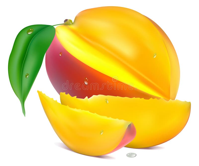 Mango with section stock photo. Image of food, fruit - 14870098