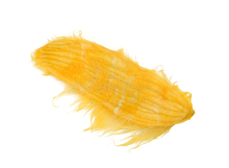Mango seed stock photo. Image of flesh, large, length - 37920810