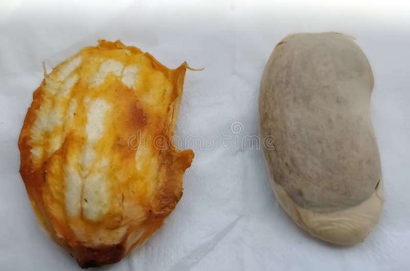 Mango Seed S Endocarp and Kernal Side by Side. Stock Photo - Image of ...