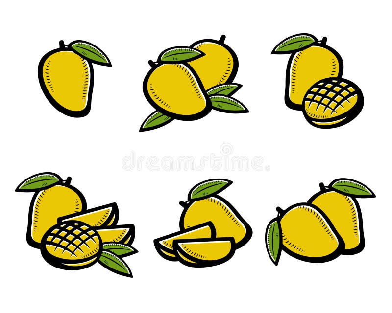 Mango Labels and Elements Set. Vector Stock Vector - Illustration of ...