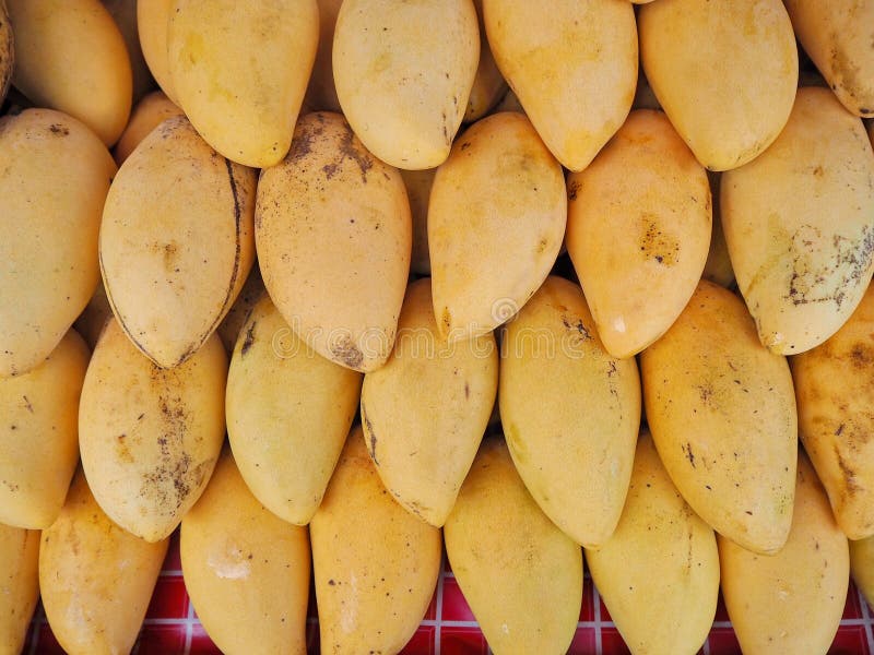 407 Mangoes Stack Photos - Free & Royalty-Free Stock Photos from Dreamstime