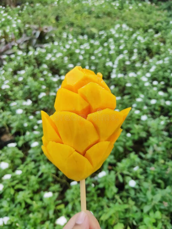 Mango shaped like a flower stock image. Image of bright - 274358887