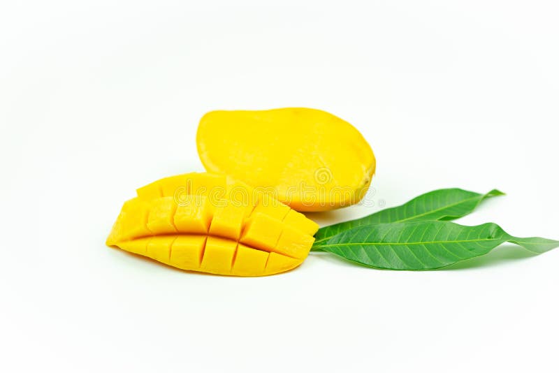 Mango Shoots in White Background. Stock Image - Image of food, mango ...