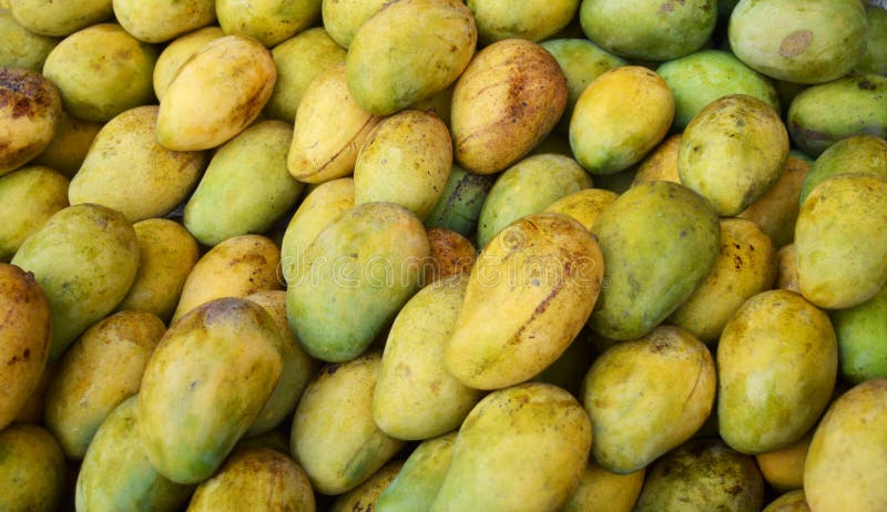 Mango Shop stock photo. Image of fruit, fresh, delicious - 94464794