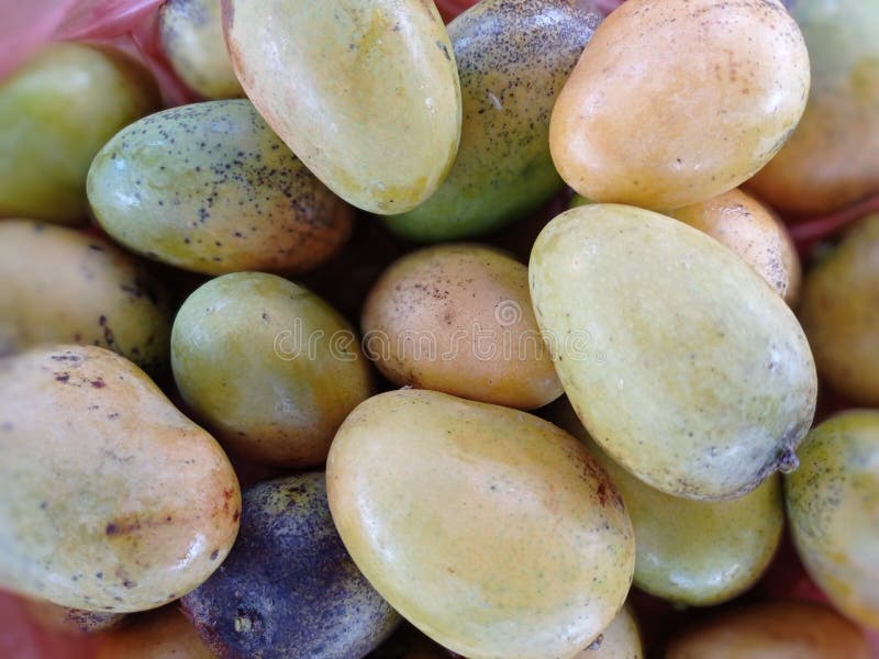 Mango Shrimp Typical of Samosir Island, Lake Toba Stock Photo - Image ...