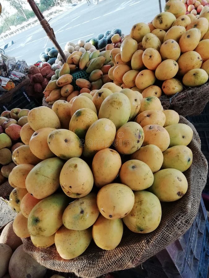 Mango stock image. Image of shop, punjab, simple, mango - 124240101