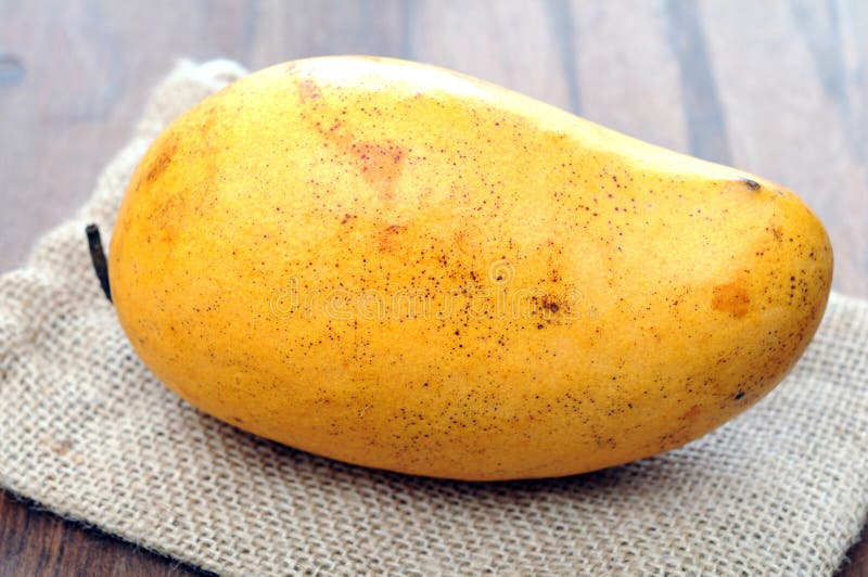Single mango stock image. Image of nutrition, sweet, healthy - 31754637
