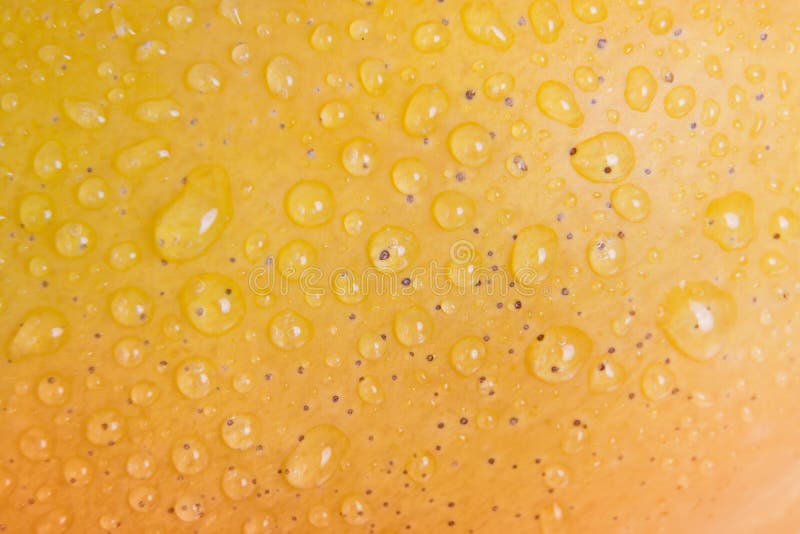 Mango skin stock photo. Image of healthy, fresh, full - 24053176