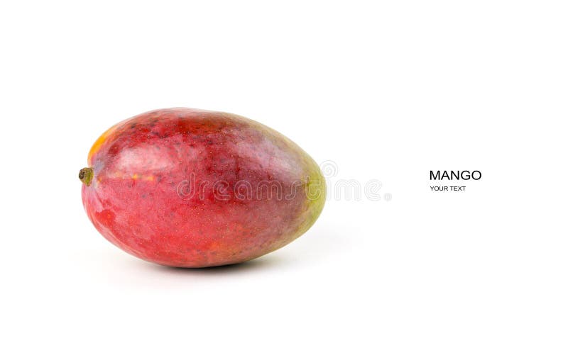 Mango skin stock photo. Image of healthy, fresh, full - 24053176