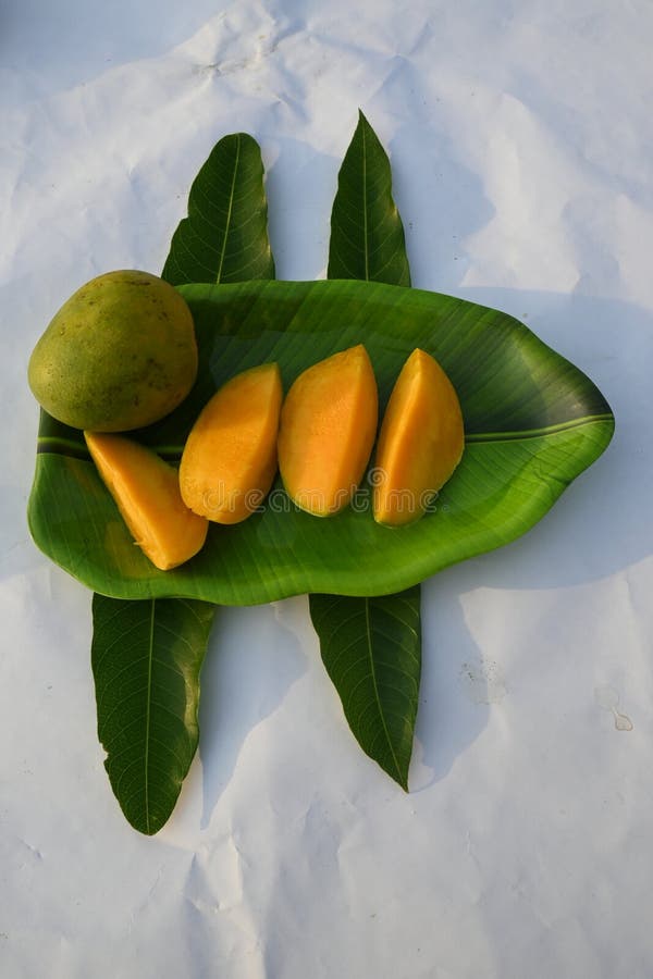 Mango slice. stock photo. Image of organic, object, vitamin - 279756930