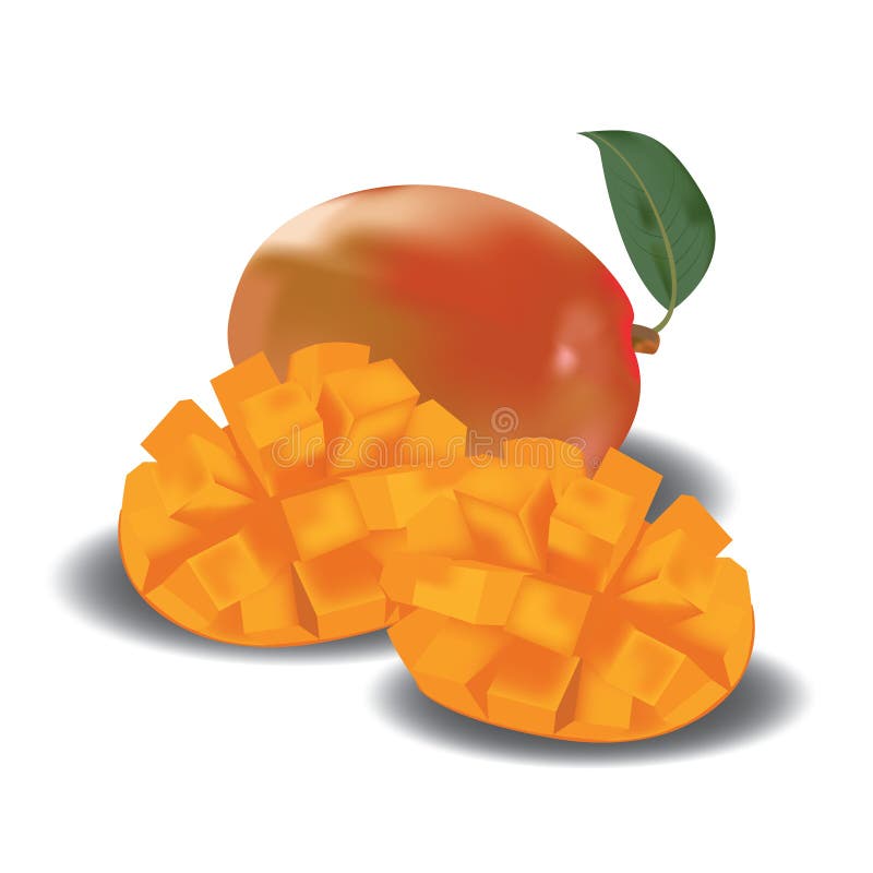 Mango with Slice. Vector Illustration Decorative Design Stock Vector ...
