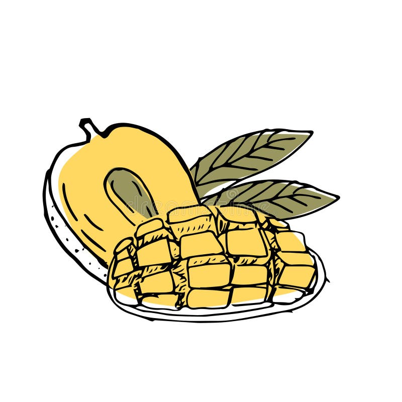 Mango Sliced and Half Fruit Ink Sketch Illustration Stock Vector ...